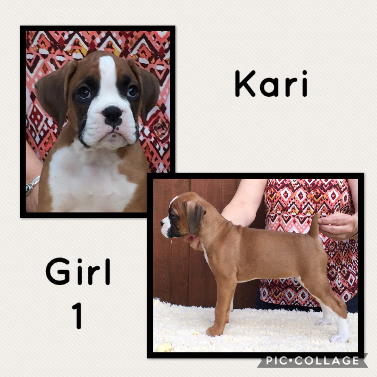 Welcome to Anden Boxers